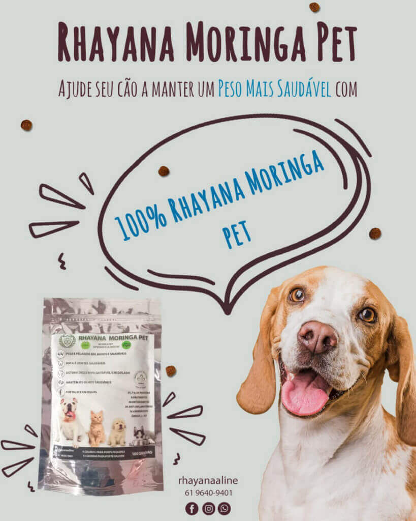 Celebrating Moringa in Brazil with Rhayana – AMH Online (Africa Moringa ...